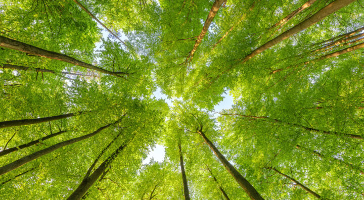 Sustainability That Delivers - Sims Lifecycle Services